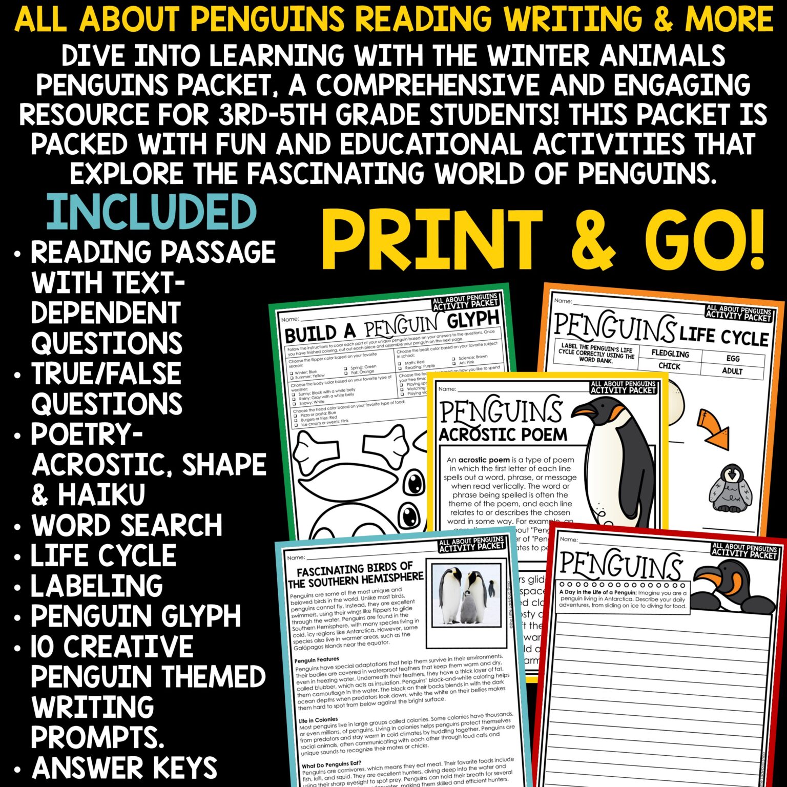 All About Penguins Reading Passage Penguins Life Cycle - The Little Ladybug Shop