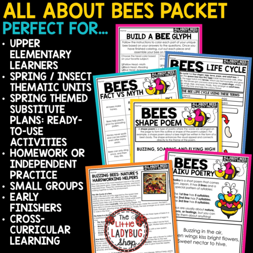 All About Bees Activities Reading Passages Life Cycle of a Bee - The ...