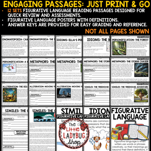 Figurative Language Reading Comprehension Passages 3rd 4th Grade - The ...