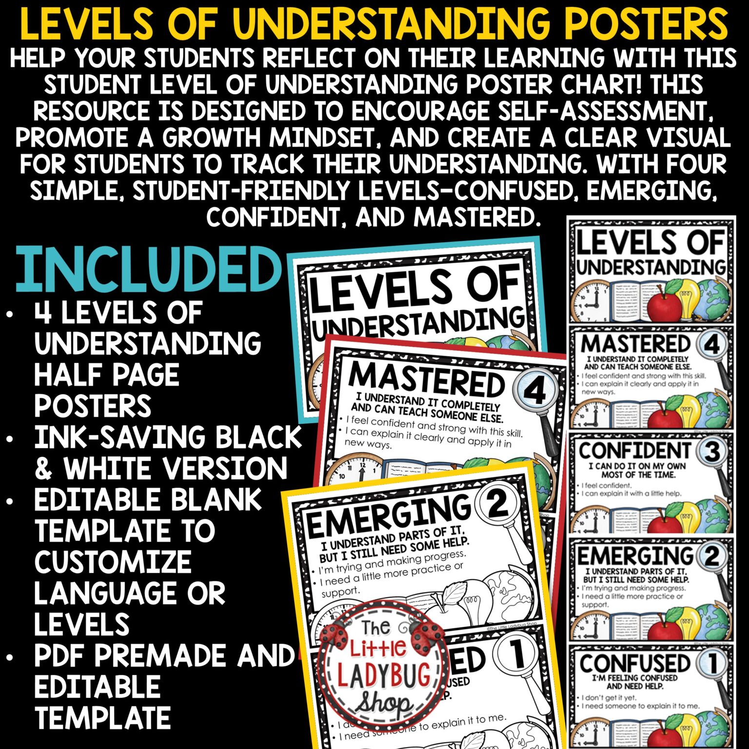 Levels of Understanding Posters for Self-Assessment - The Little ...