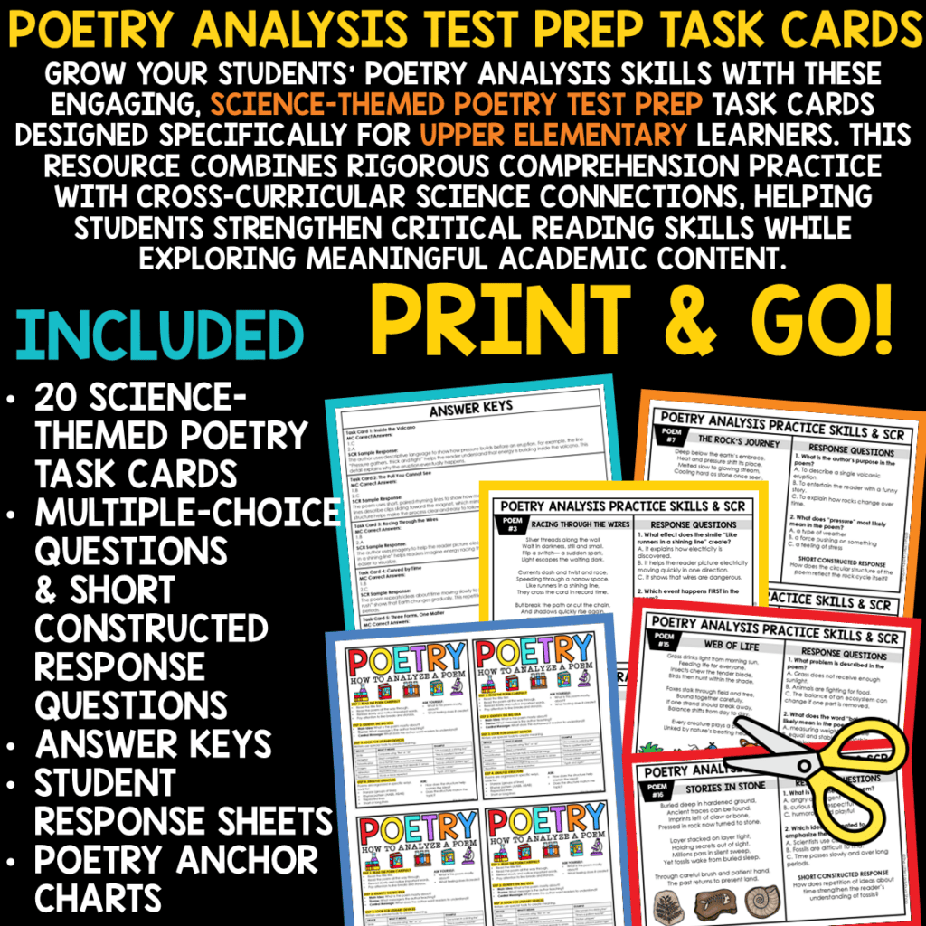 3rd 4th Grade Test Prep Poetry Comprehension Analysis Worksheets - The ...