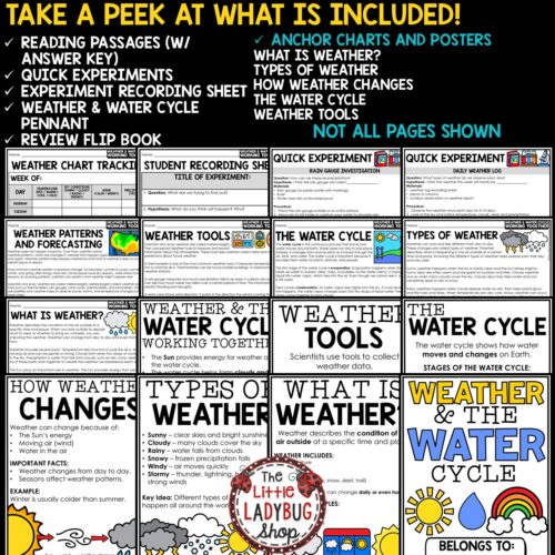 Types of Weather and Water Cycle Reading Passage Worksheets - The ...